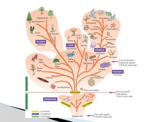 Classification and taxonomy of Microorganisms.pptx