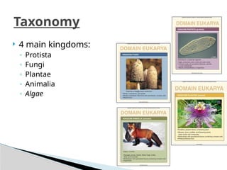 Classification and taxonomy of Microorganisms.pptx