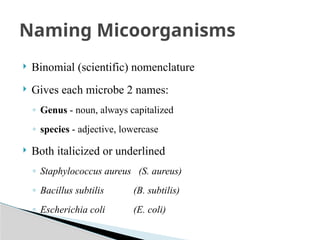 Classification and taxonomy of Microorganisms.pptx