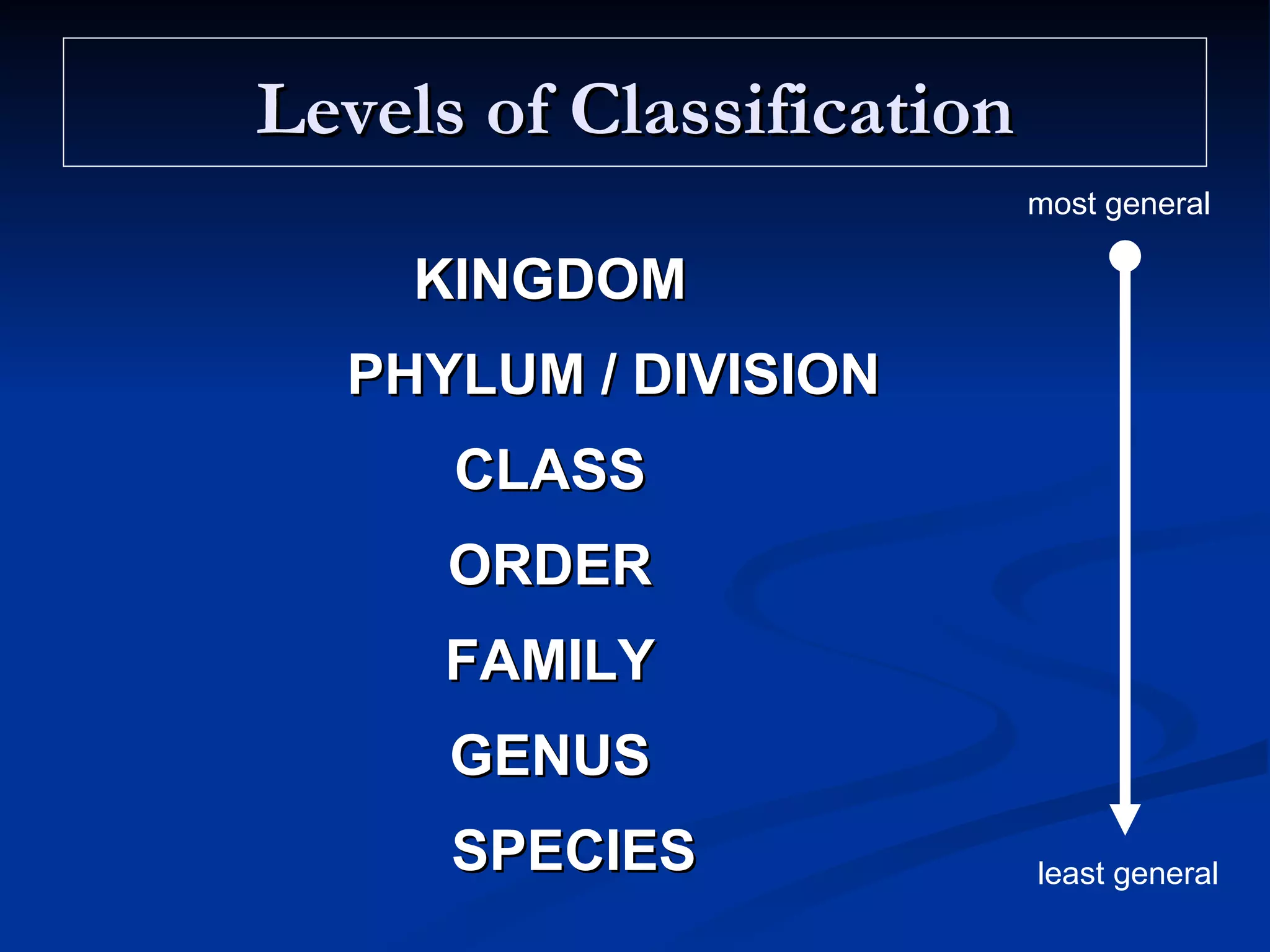Classification assignment | PPT