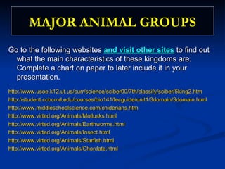 Classification assignment | PPT