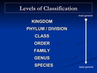 Classification assignment | PPT