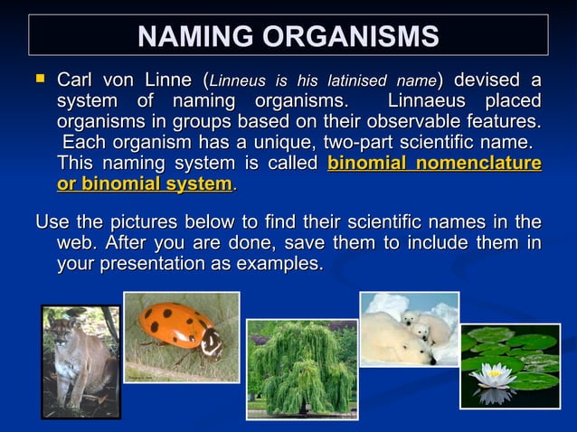 Classification assignment | PPT