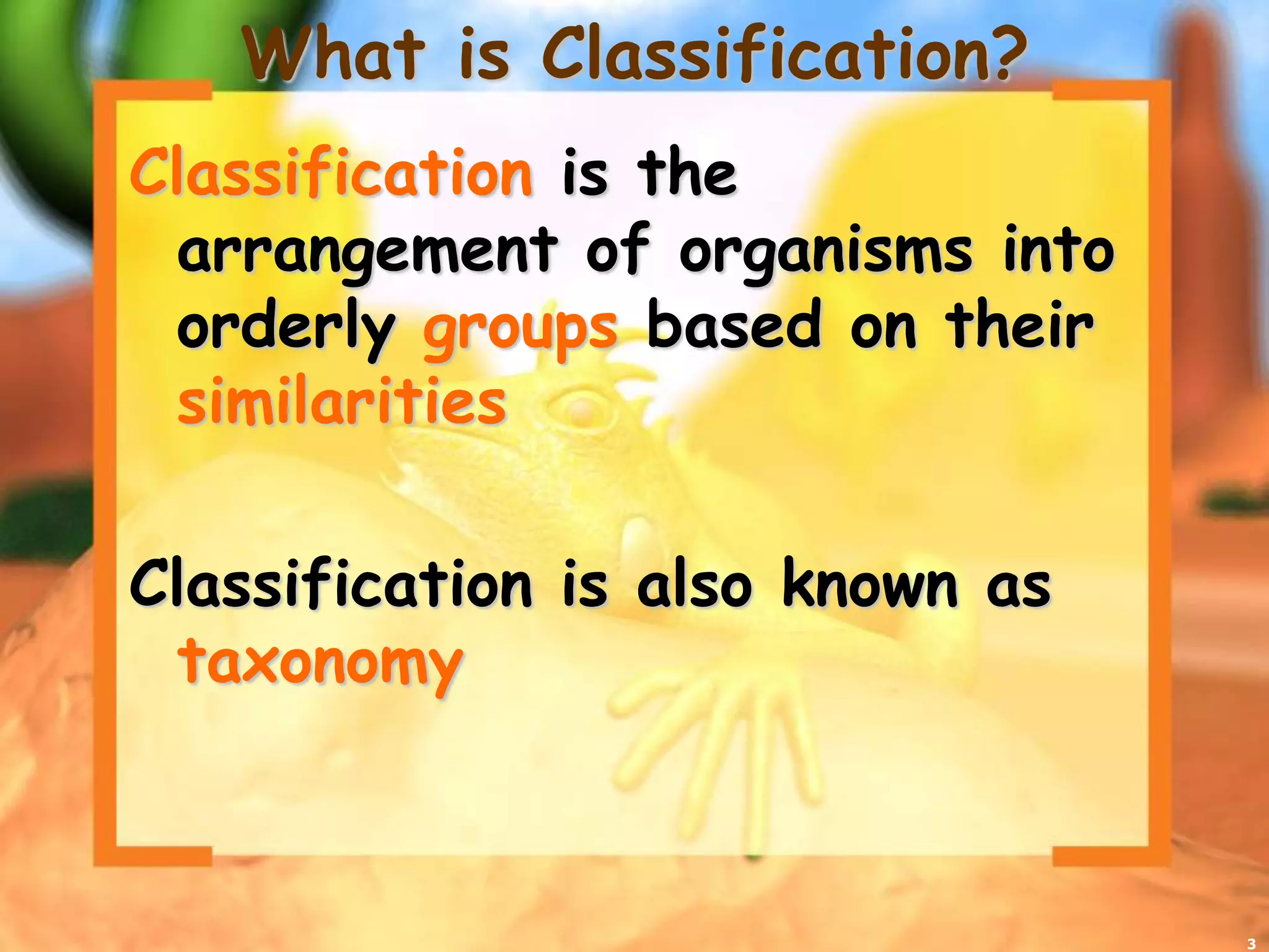 Classification Mr. Binder | PPTX