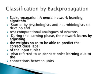 Classification by backpropacation | PPT