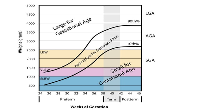 Classification_by_weight-gestation-intrauterine_growth[1].pptx