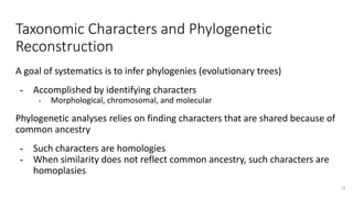 Classification | PPT