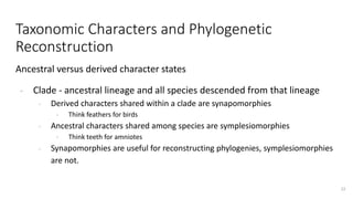 Classification | PPT