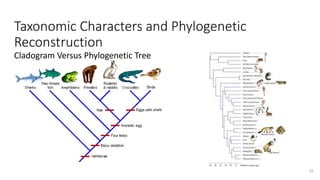 Classification | PPTX