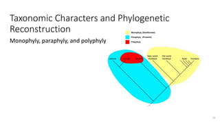 Classification | PPT