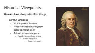 Classification | PPT