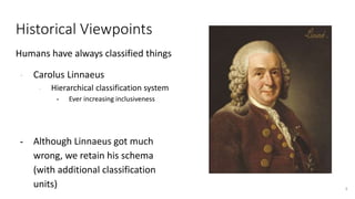 Classification | PPT