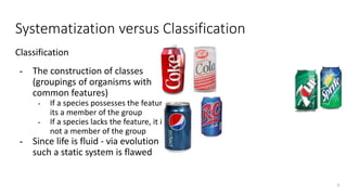 Classification | PPT