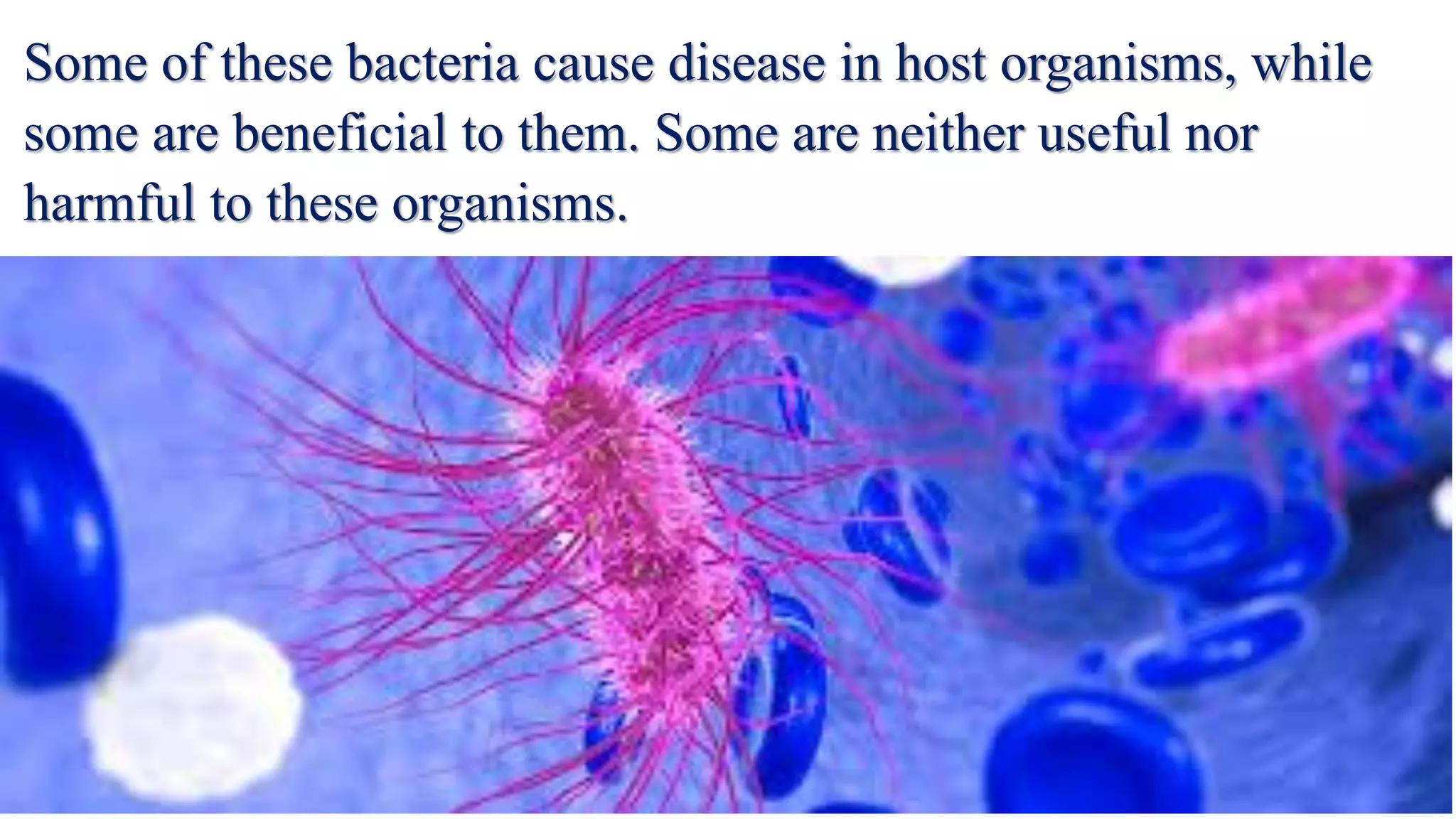 Classification chapter class fiv science | PPT