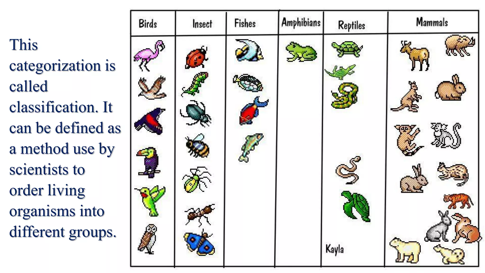 Classification chapter class fiv science | PPT