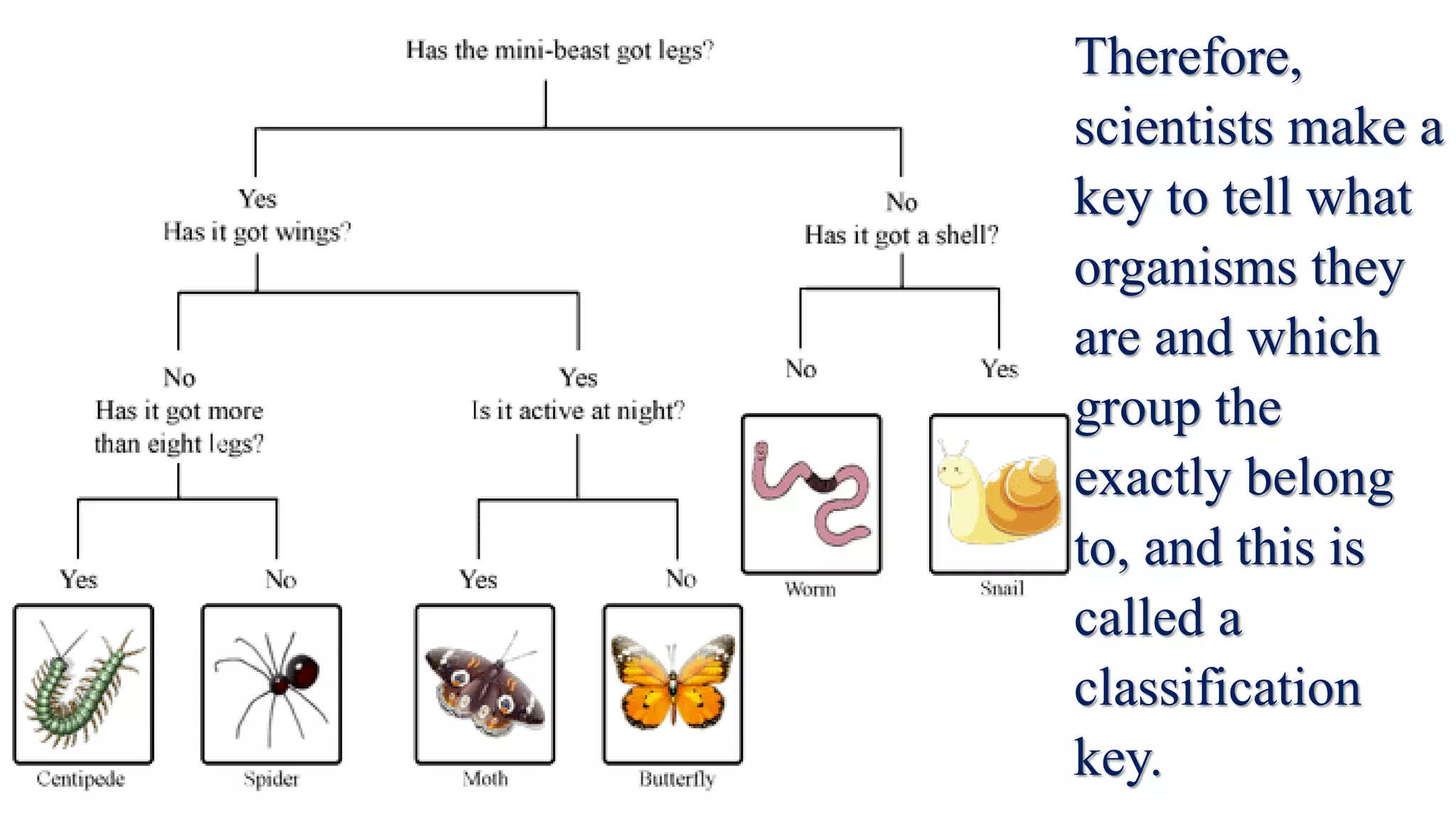 Classification chapter class fiv science | PPT
