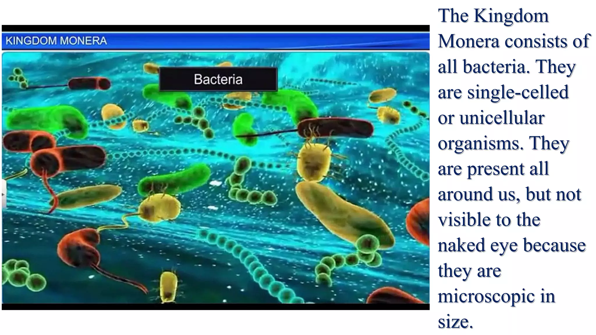 Classification chapter class fiv science | PPT