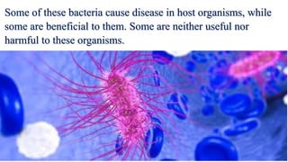 Classification chapter class fiv science | PPT