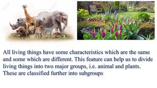 Classification chapter class fiv science | PPT