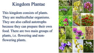 Classification chapter class fiv science | PPT