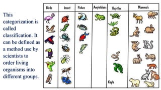 Classification chapter class fiv science | PPT