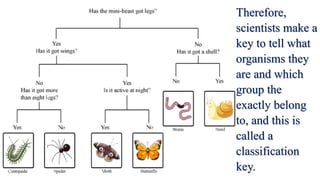 Classification chapter class fiv science | PPT
