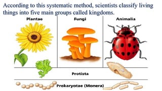 Classification chapter class fiv science | PPT