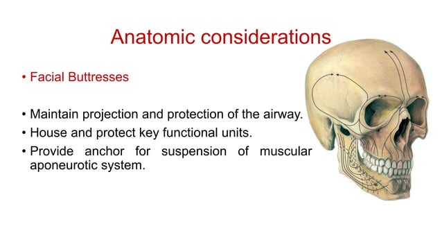 Classification, clinical features of pan facial trauma