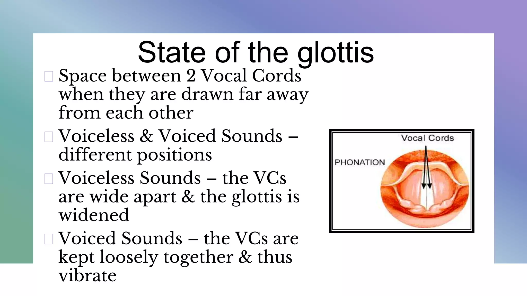 Classification & Description of Consonant Sounds.pptx