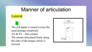 Classification & Description of Consonant Sounds.pptx
