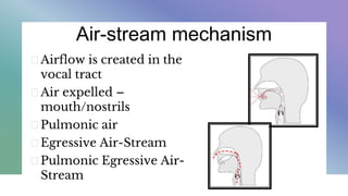 Classification & Description of Consonant Sounds.pptx