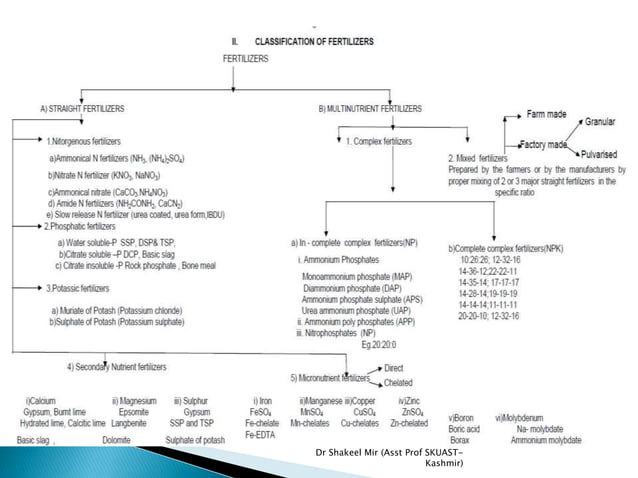Classification of fertilizers-Basics | PPTX | Agriculture | Industries
