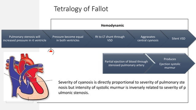 Classification, FetaL Circulation and TOF.pptx