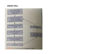 Classification, FetaL Circulation and TOF.pptx