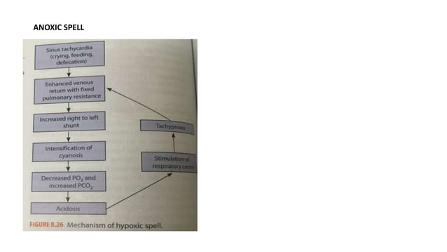 Classification, FetaL Circulation and TOF.pptx