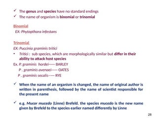 Classification of fungi final Part 1.pptx