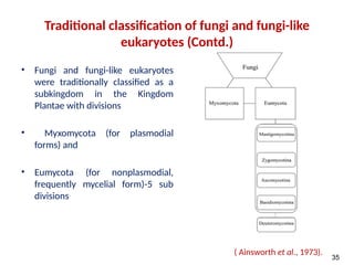 Classification of fungi final Part 1.pptx