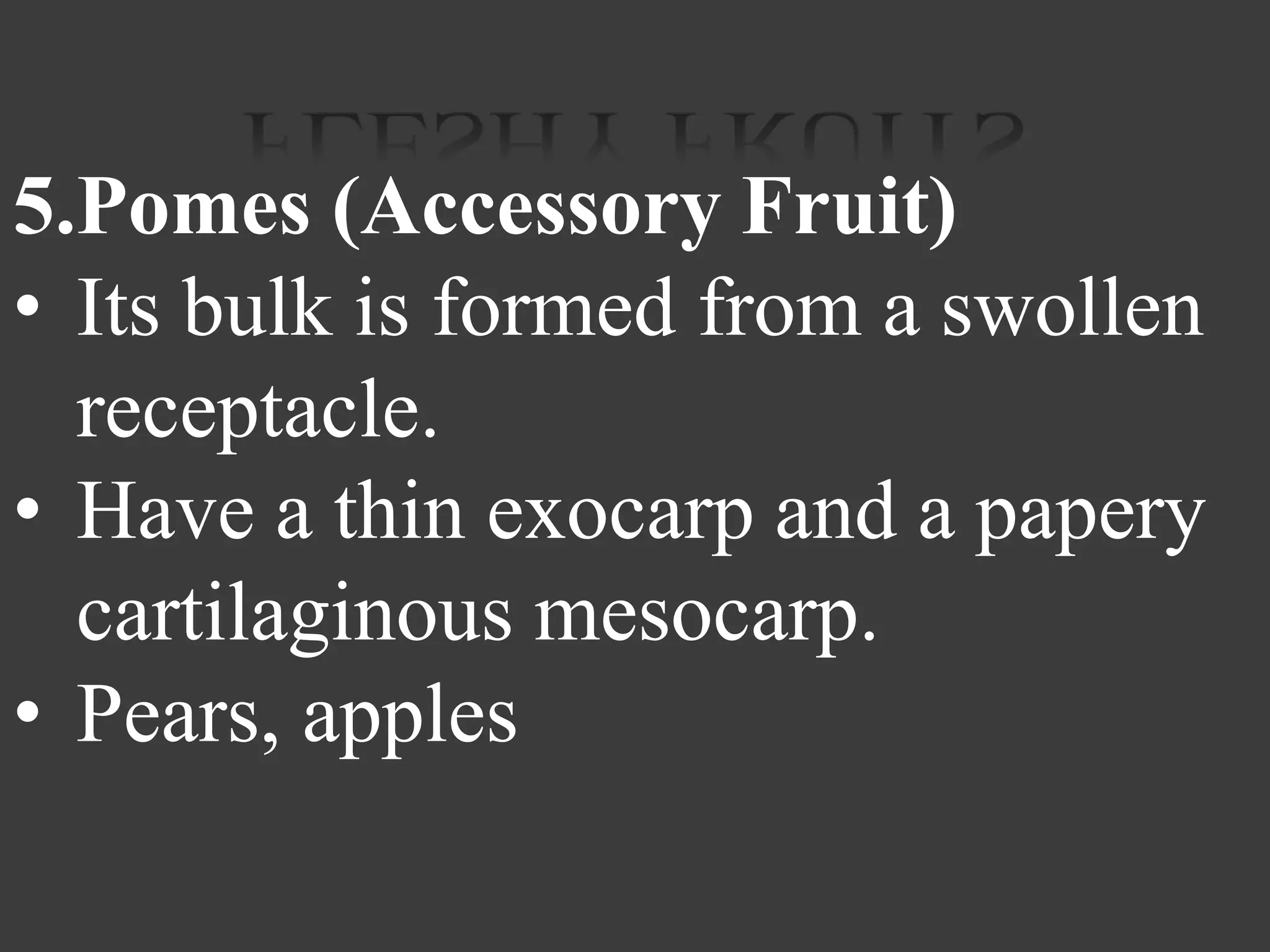 classification fruit ppt.pptx