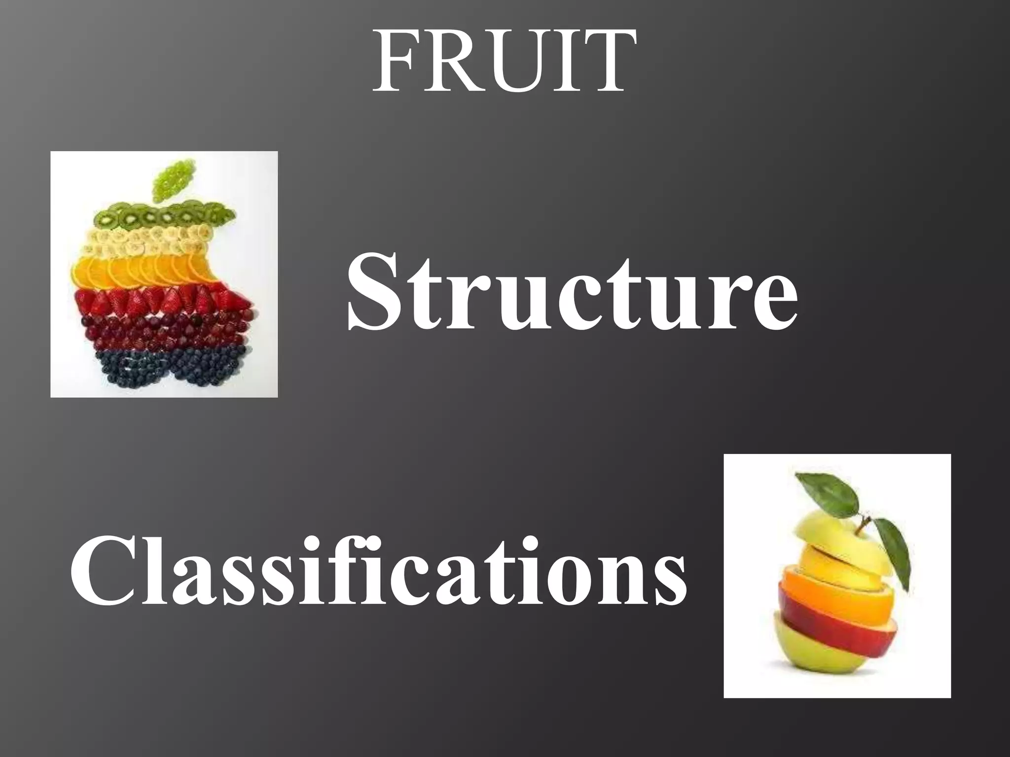 classification fruit ppt.pptx