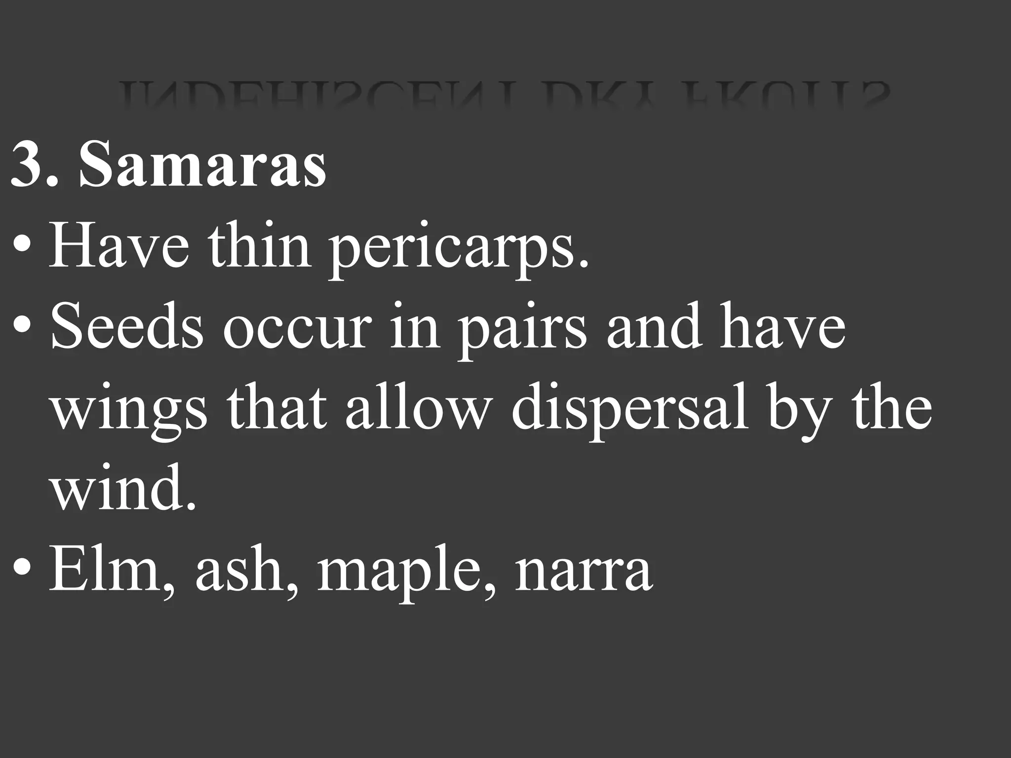 Classification Fruit Ppt Pptx