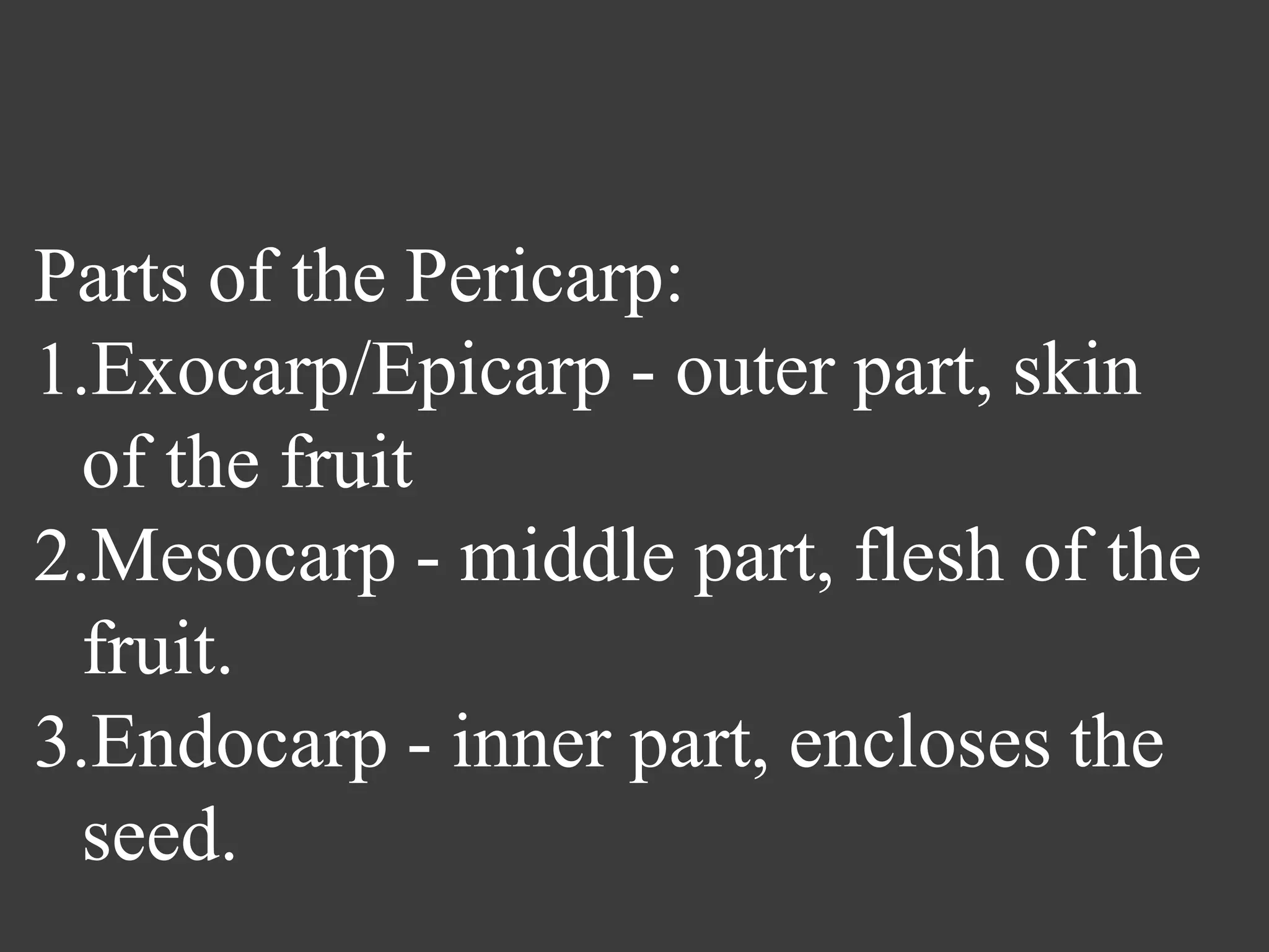 Classification Fruit Ppt Pptx