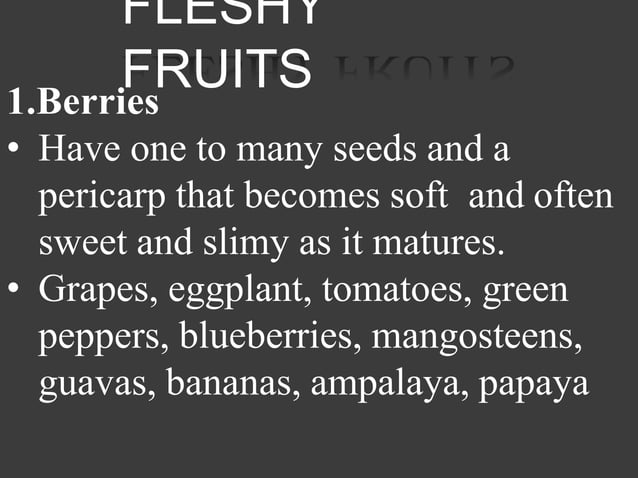 classification fruit ppt.pptx