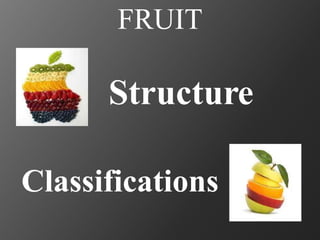 classification fruit ppt.pptx