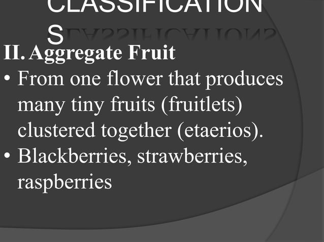 classification fruit ppt.pptx