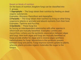 classificationfungi | PDF