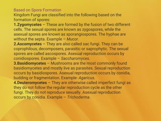 classificationfungi | PDF