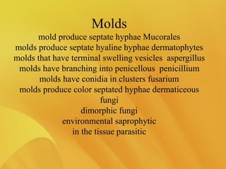 classificationfungi | PDF