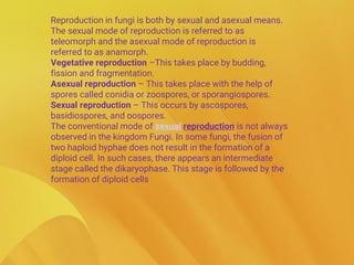 classificationfungi | PDF