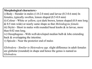 Classification and general-characters.pdf