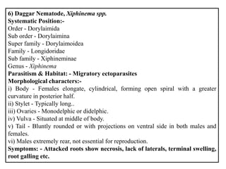 Classification and general-characters.pdf